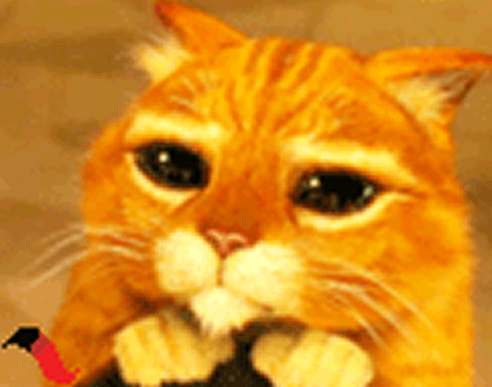 Gifs animados del gato con botas gratis - Imagui