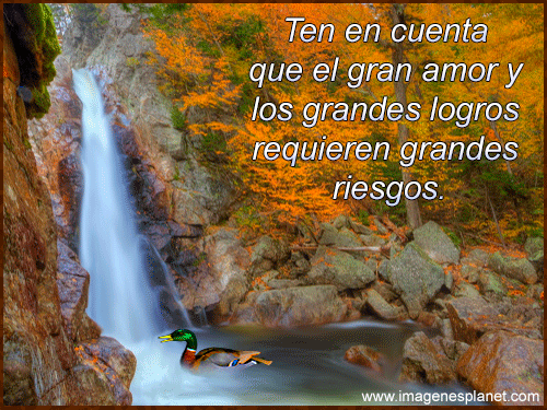 Imagenes de paisajes con frases y con movimiento - Imagui