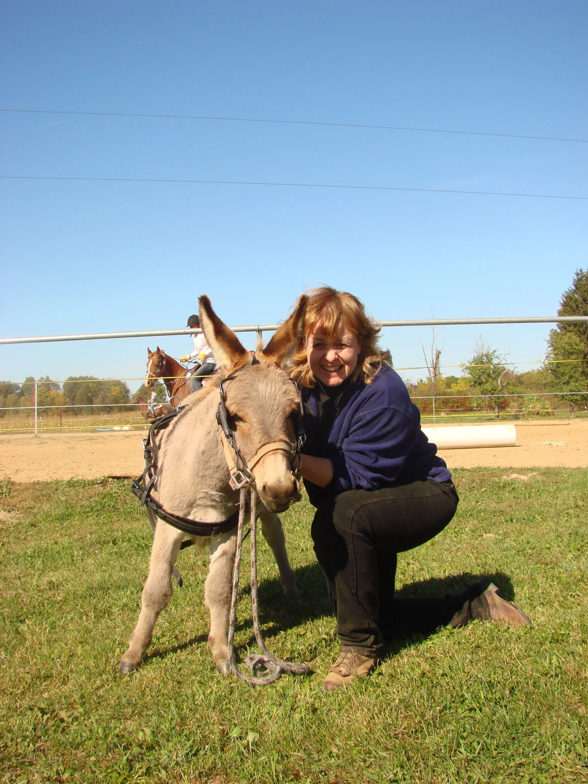 Women riding pony - Imagui