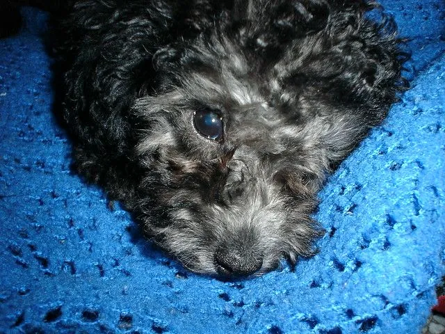 Imagenes de igor bebé - Imagui