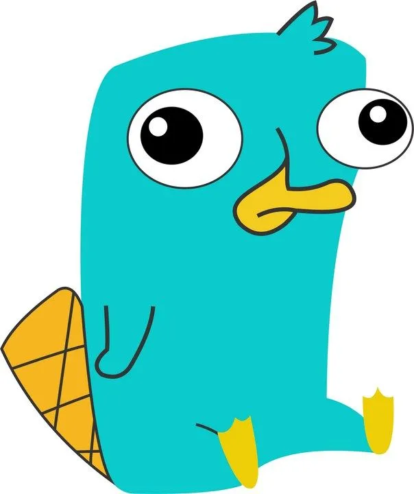 Fotos de Perry bebé - Imagui