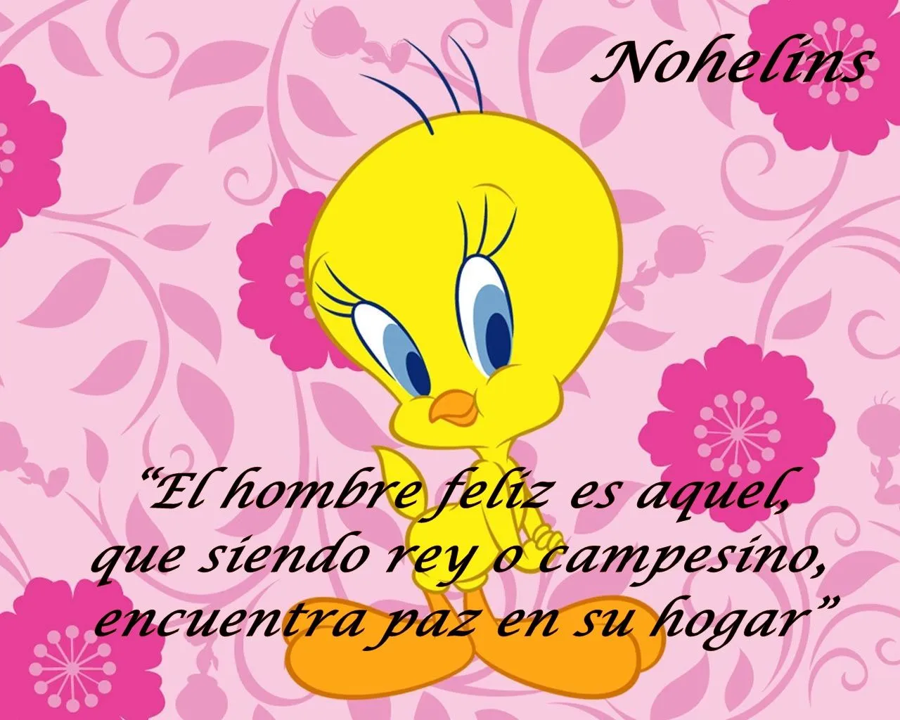 Imágenes de Piolín con frases - 6 fotos e imágenes gratis - Imagui