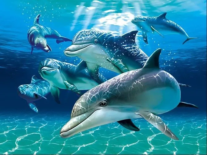 Fondos 3D delfines - Imagui