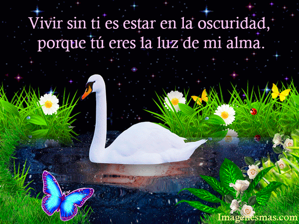 Imagenes de paisajes con frases y con movimiento - Imagui