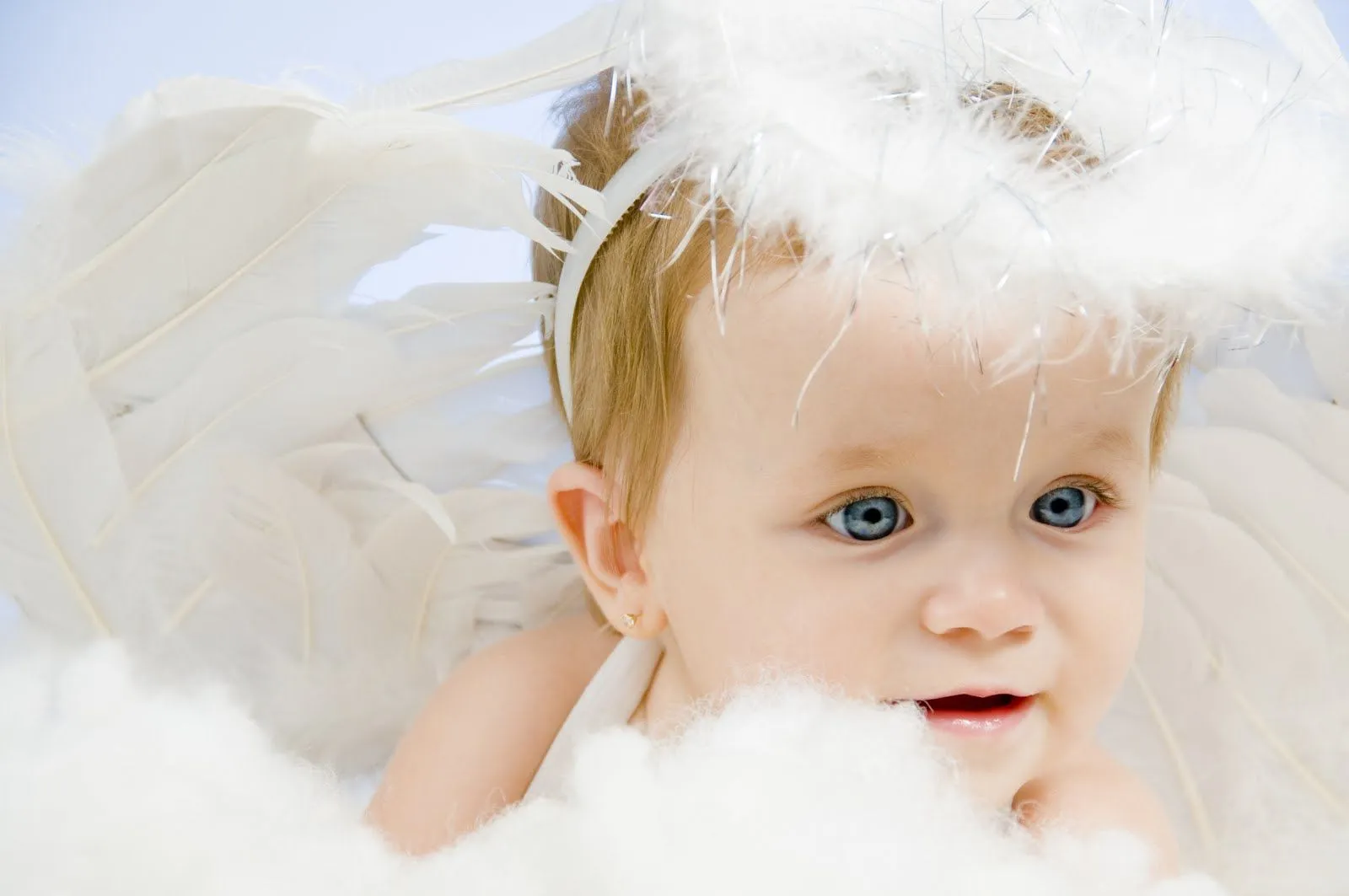 Angelitos bebés con alas - Imagui