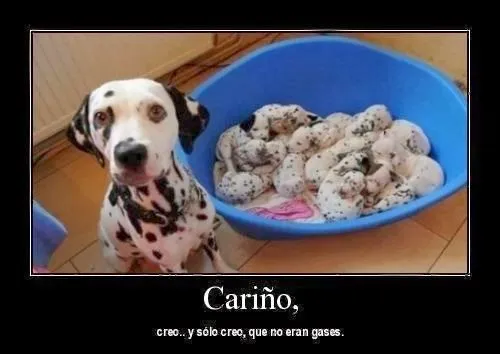 Imagenes y dichos chistosos - Imagui