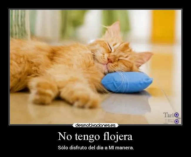 Imagenes de tengo flojera - Imagui