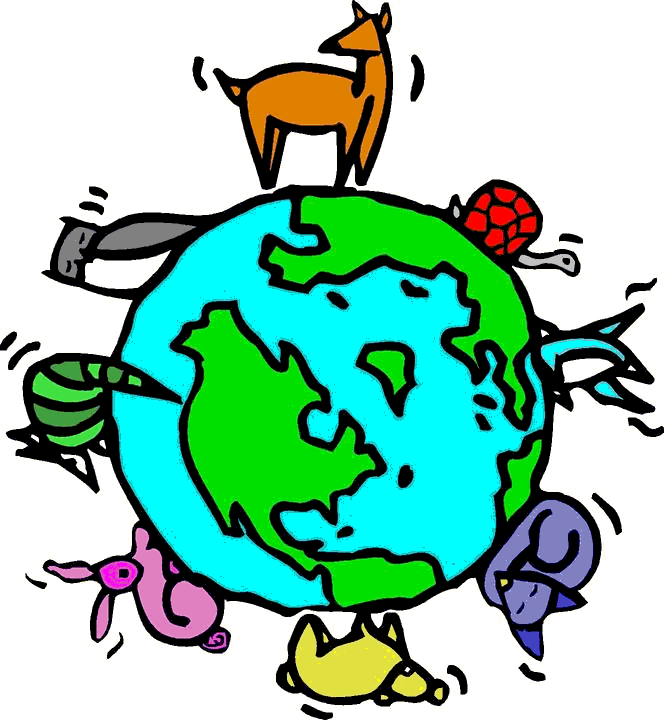 Imagenes gif animadas de ecologia - Imagui