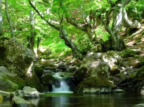 Fotos lindas de paisajes - Imagui