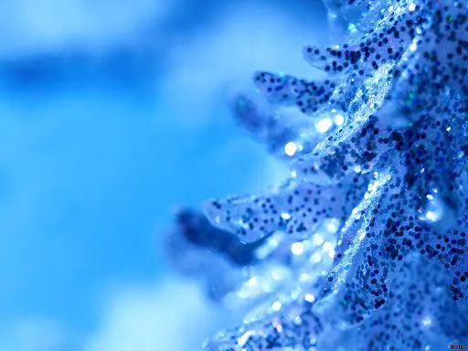 Navidad azul - Imagui