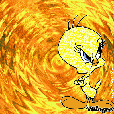 GIFs de Piolín en movimiento - 8 fotos e imágenes gratis - Imagui