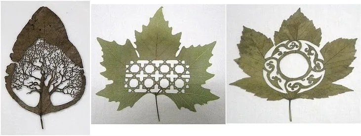 Arboles japoneses para dibujar - Imagui