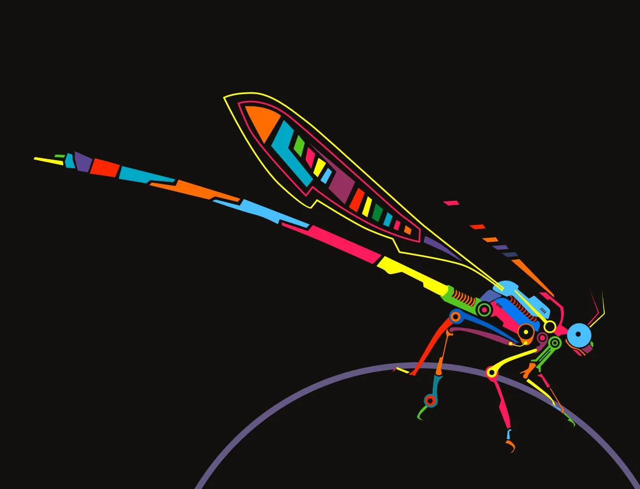 Libelulas animadas - Imagui