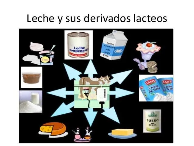 Imagenes De Los Derivados De La Leche 3 Fotos E Imágenes Gratis Imagui