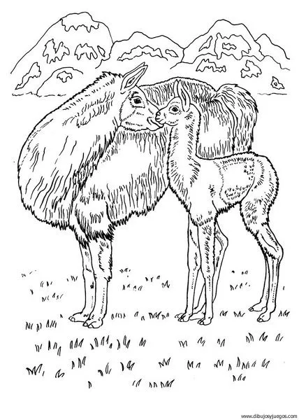 Dibujo de llama para colorear - Imagui