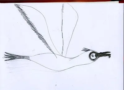 Aves bocetos - Imagui