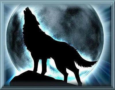 Imagenes de lobos negros - Imagui