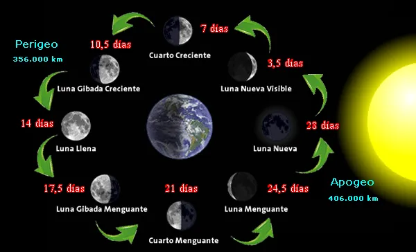Nombres de las fases de la luna - 4 fotos e imágenes gratis - Imagui