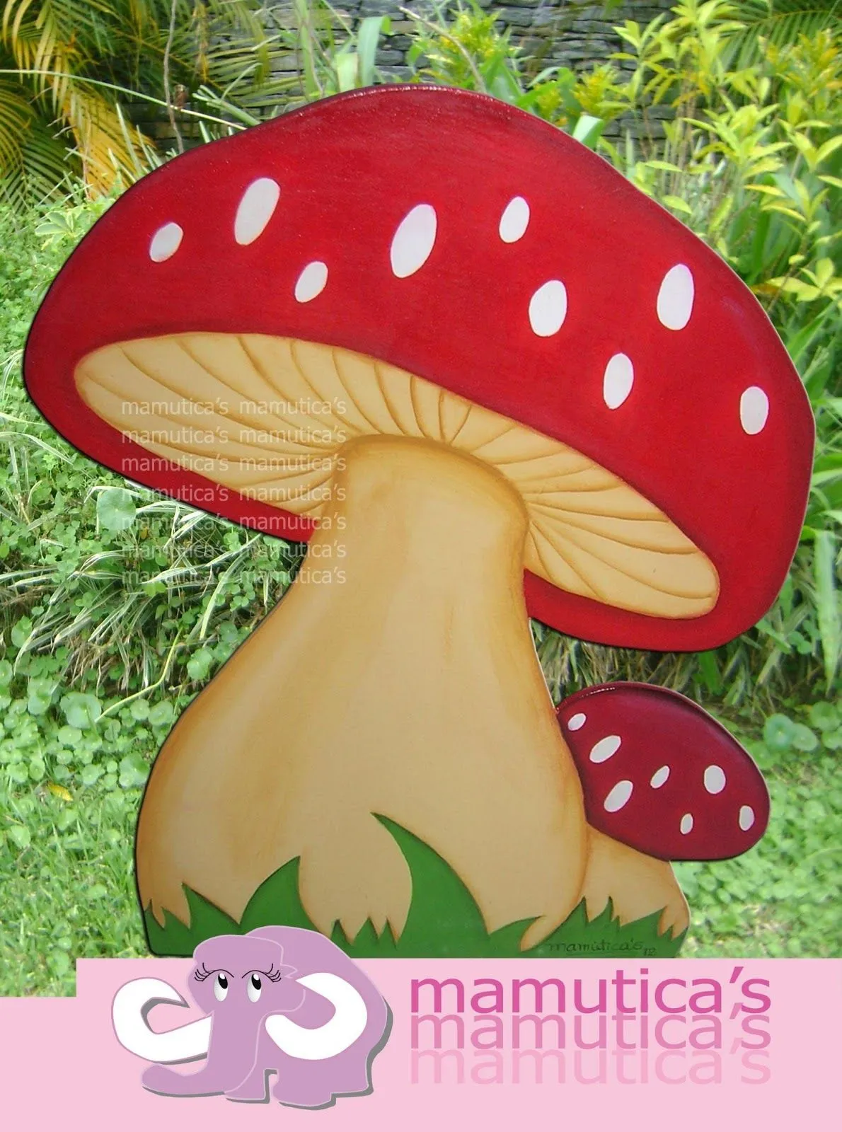 Fotos de honguitos - Imagui