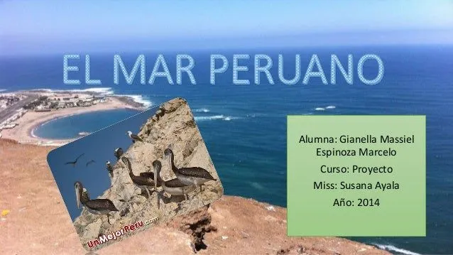 El mar peruano o mar de Grau - 7 fotos e imágenes gratis - Imagui