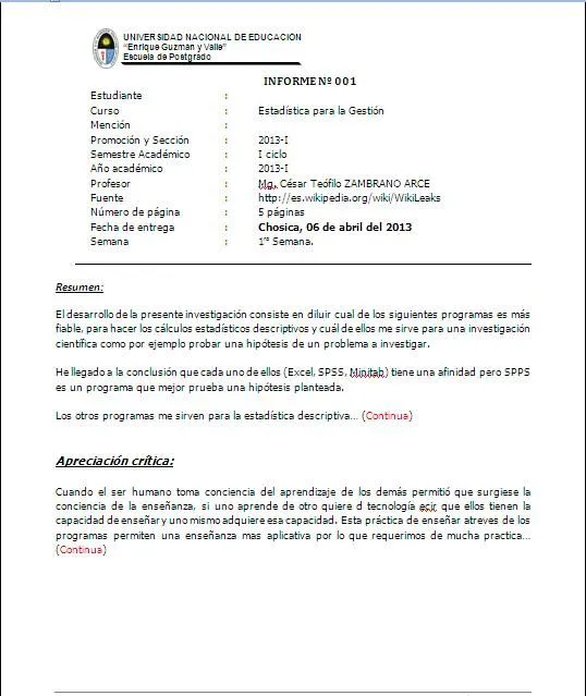 Modelo de informe - Imagui