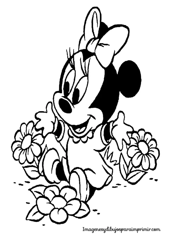 Minnie Mouse con flores - 14 fotos e imágenes gratis - Imagui