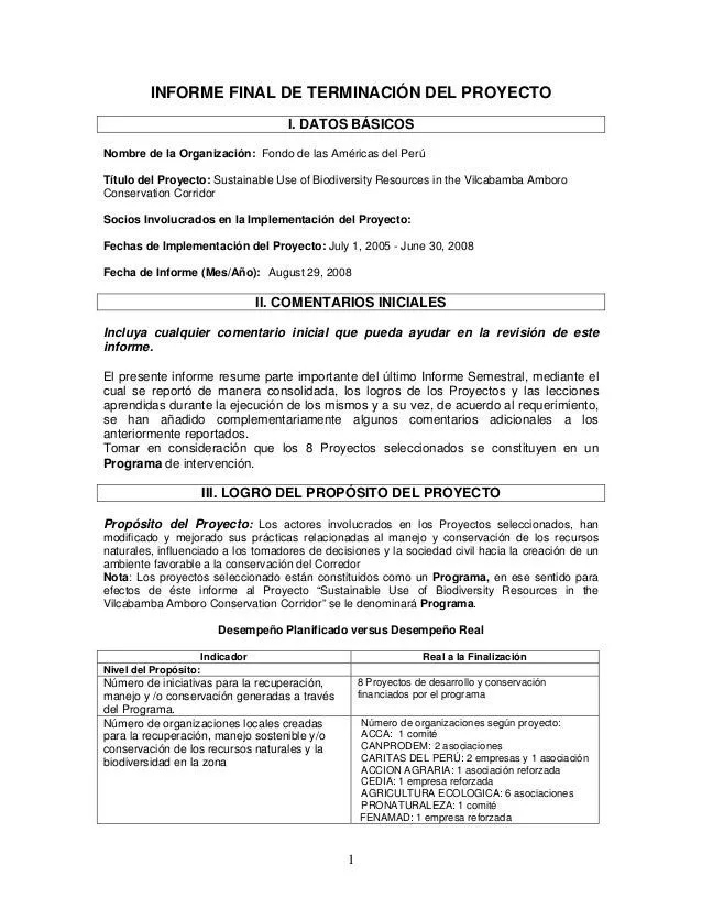 Modelos de informes finales - Imagui