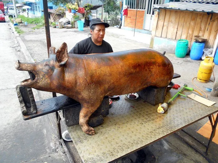 Imagenes de chancho - Imagui