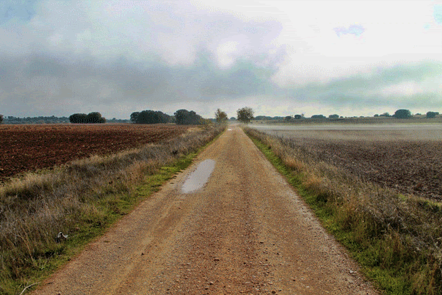 GIFs animados de caminos - 6 fotos e imágenes gratis - Imagui