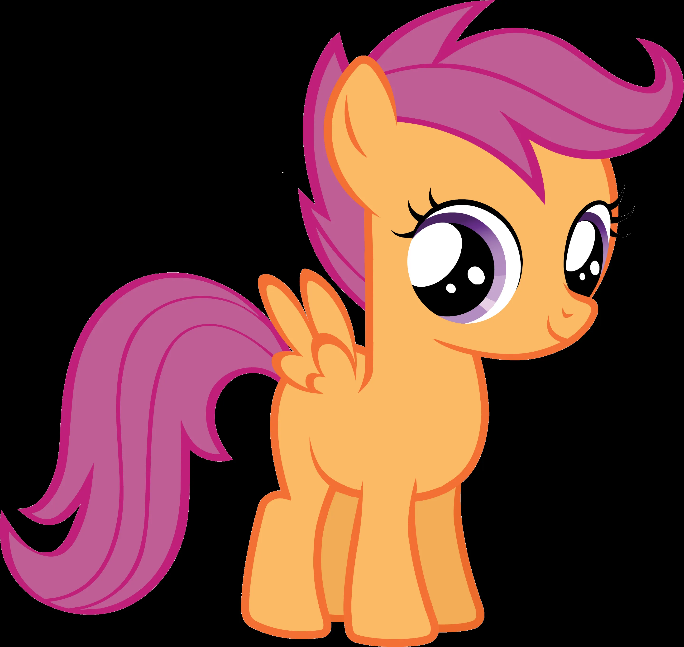 Maili pony - Imagui