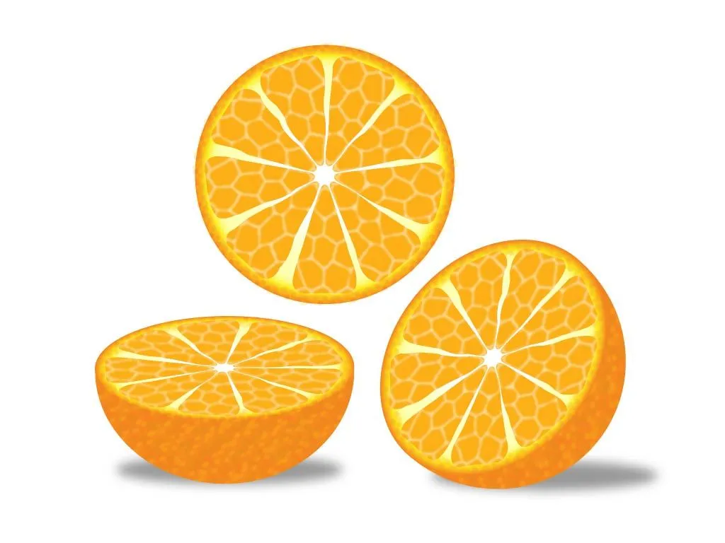 Vectores naranjas - Imagui