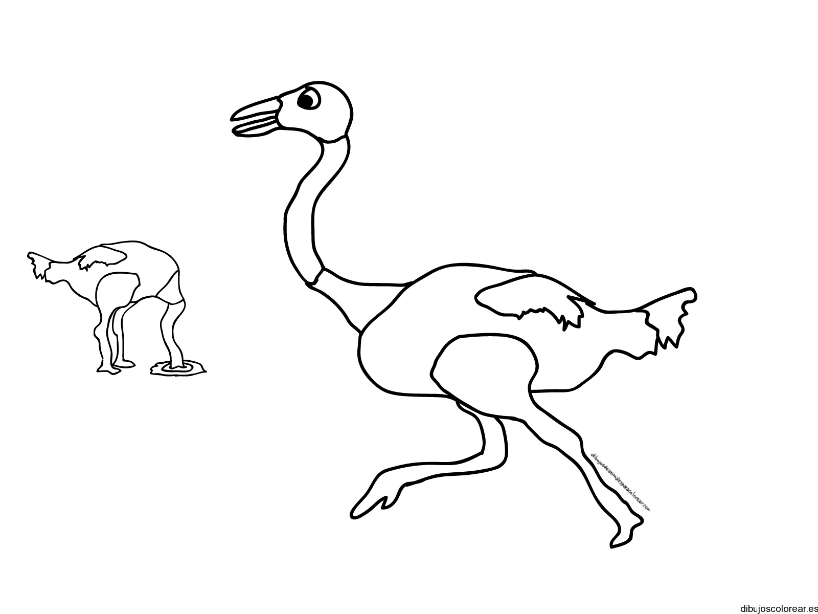 Dibujos de ñandú para colorear - Imagui