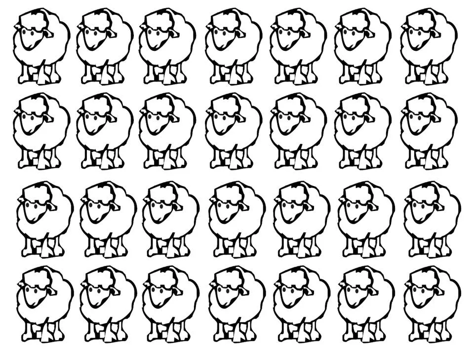 Dibujos Para Colorear De Borreguitos 8 Fotos E Imágenes Gratis Imagui
