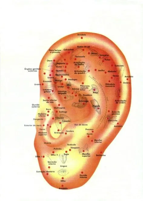 Oreja animada - 8 fotos e imágenes gratis - Imagui