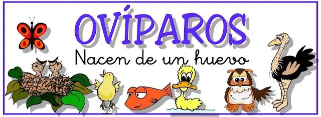 Dibujo de animales que nacen de huevo - Imagui