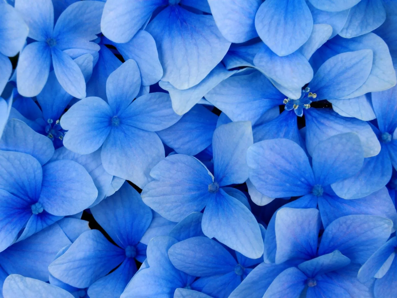 Fondos bonitos azules - Imagui