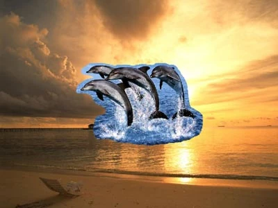 Imágenes de paisajes con delfines - 5 fotos e imágenes gratis - Imagui