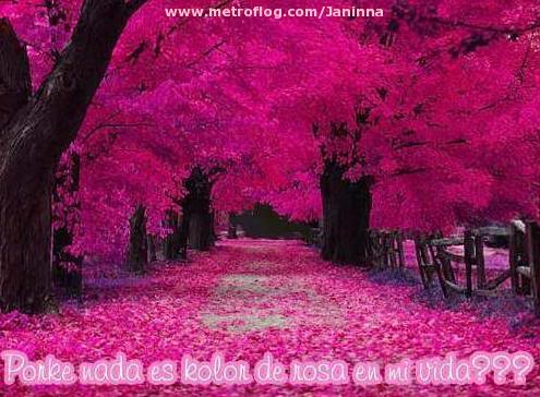 PAISAJES EN ROSA - Imagui