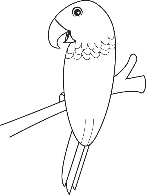 DIBUJO PARA COLOREAR perico - Imagui