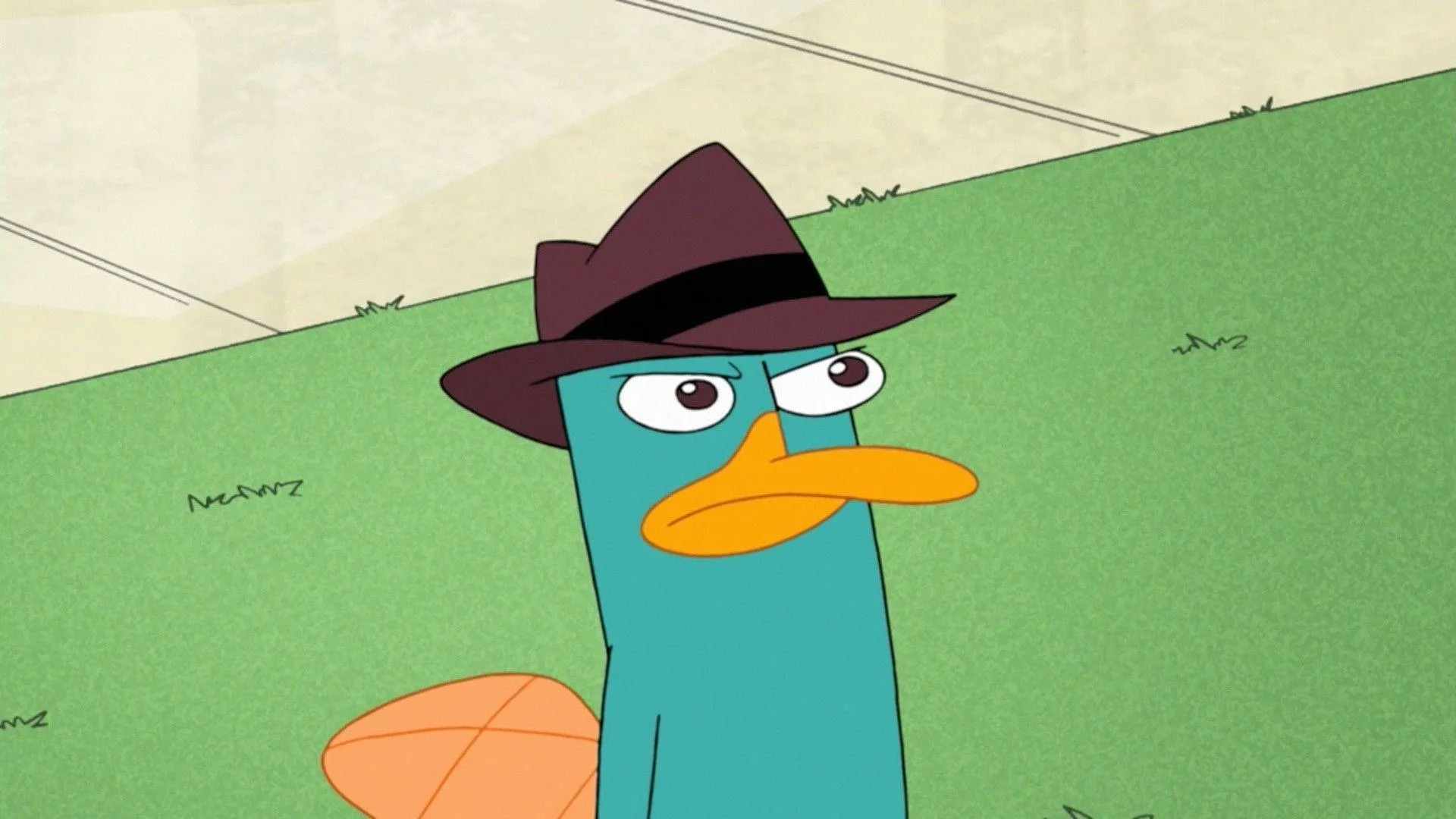 Wallpapers Perry el ornitorrinco HD - Imagui