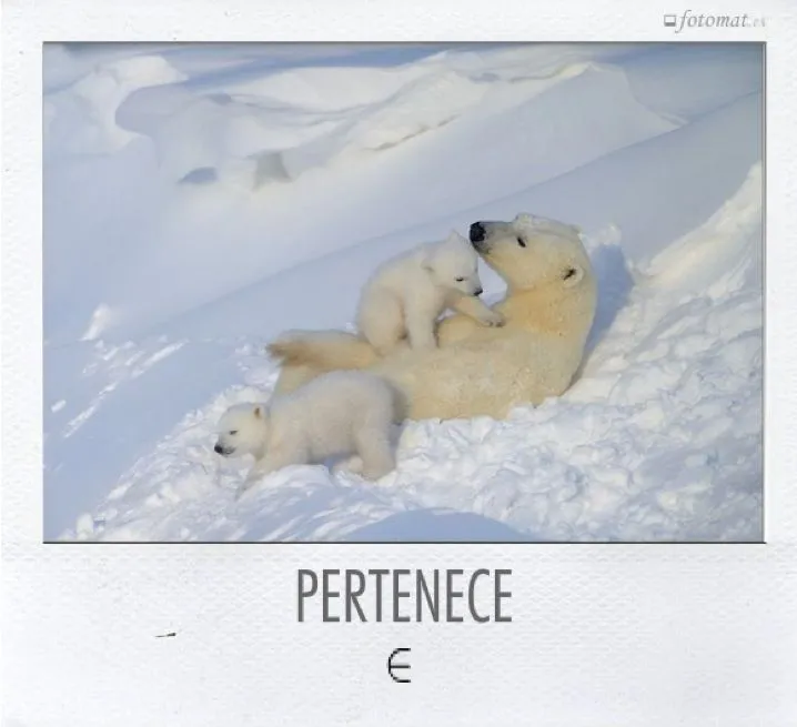 Pertenece y no pertenece - Imagui