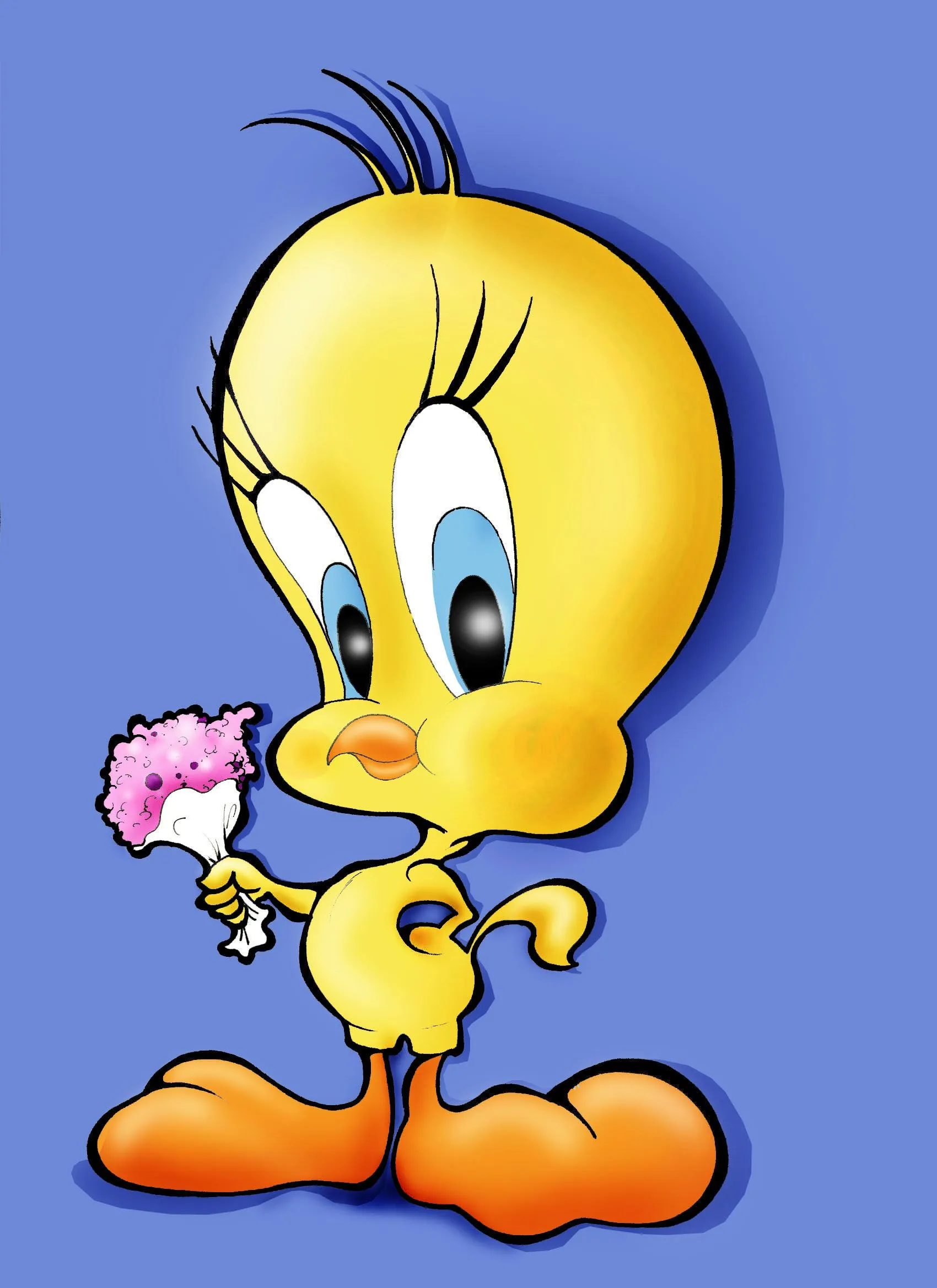 Piolin a color - Imagui