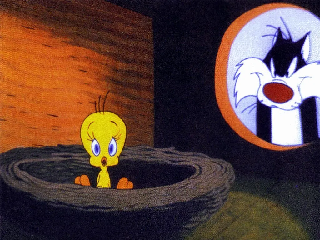 Marcos de piolin - Imagui