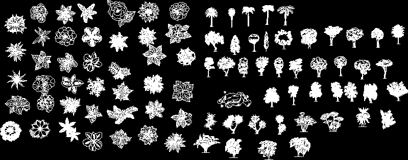 Arboles en planta - Imagui Arboles en planta - Imagui