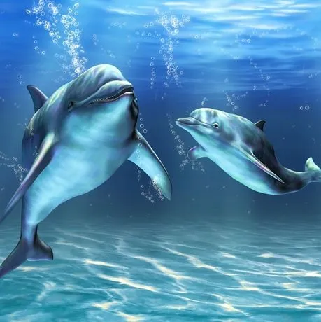 Fondos 3D delfines - Imagui