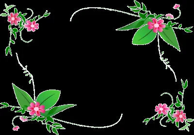 VECTOR BORDER FLOWER - Imagui