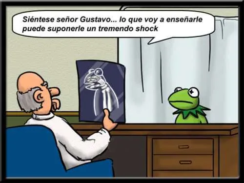 Pegi y la rana rene - Imagui