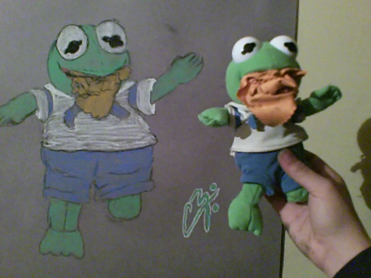 La rana rene - Imagui