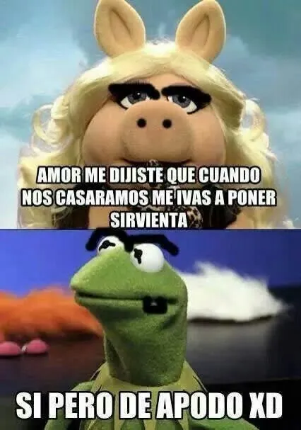 Fondos de rana rene y peggy - Imagui