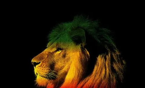 Imagenesrastafari - Imagui